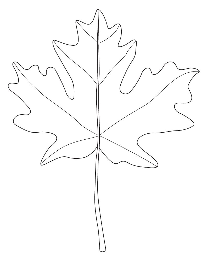 Leaf Template | PDF | Home & Garden