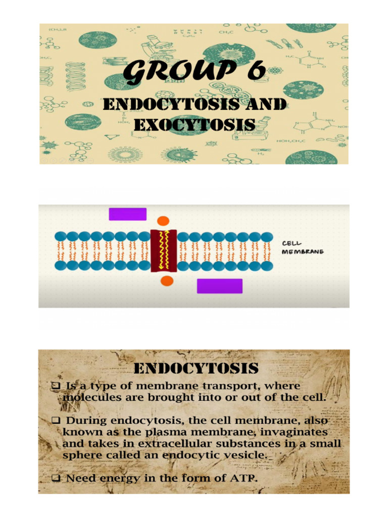 Gen Bio Presentation - Word | PDF