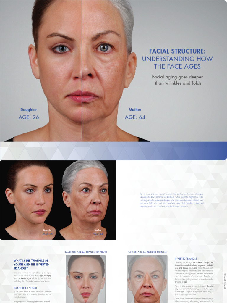 Facial Structure Understanding | PDF | Skin | Face