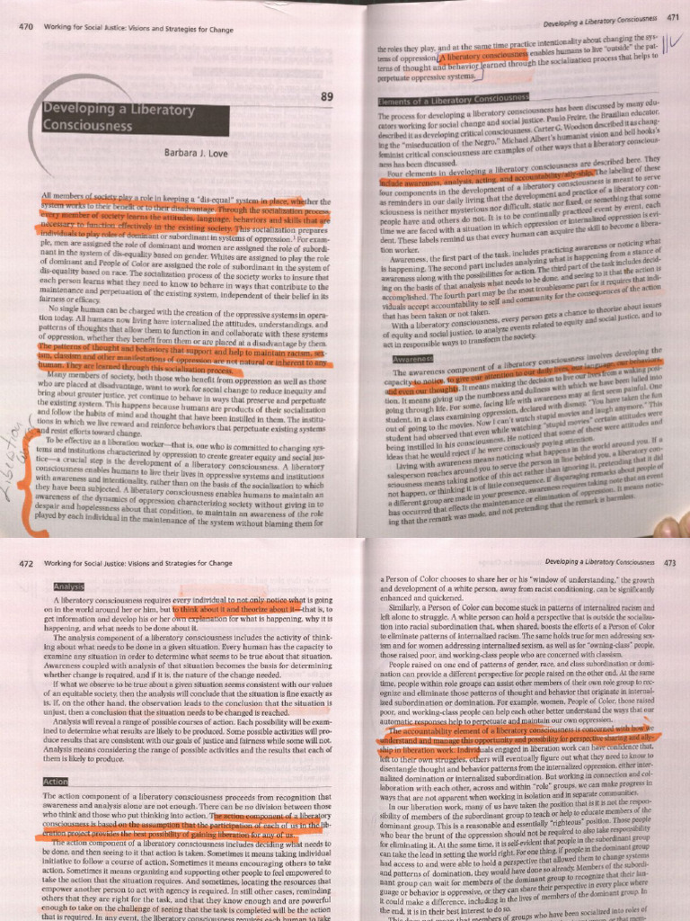 Developing A Liberatory Consciousness | PDF