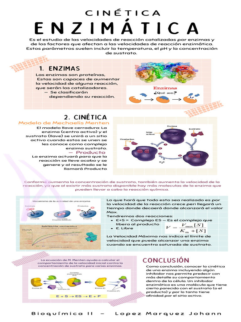 Cinética Enzimática | PDF | Enzima | La cinética de enzimas