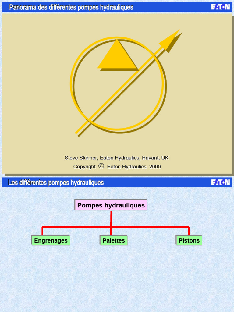 Panorama Des Pompes | PDF | Pompe | Piston