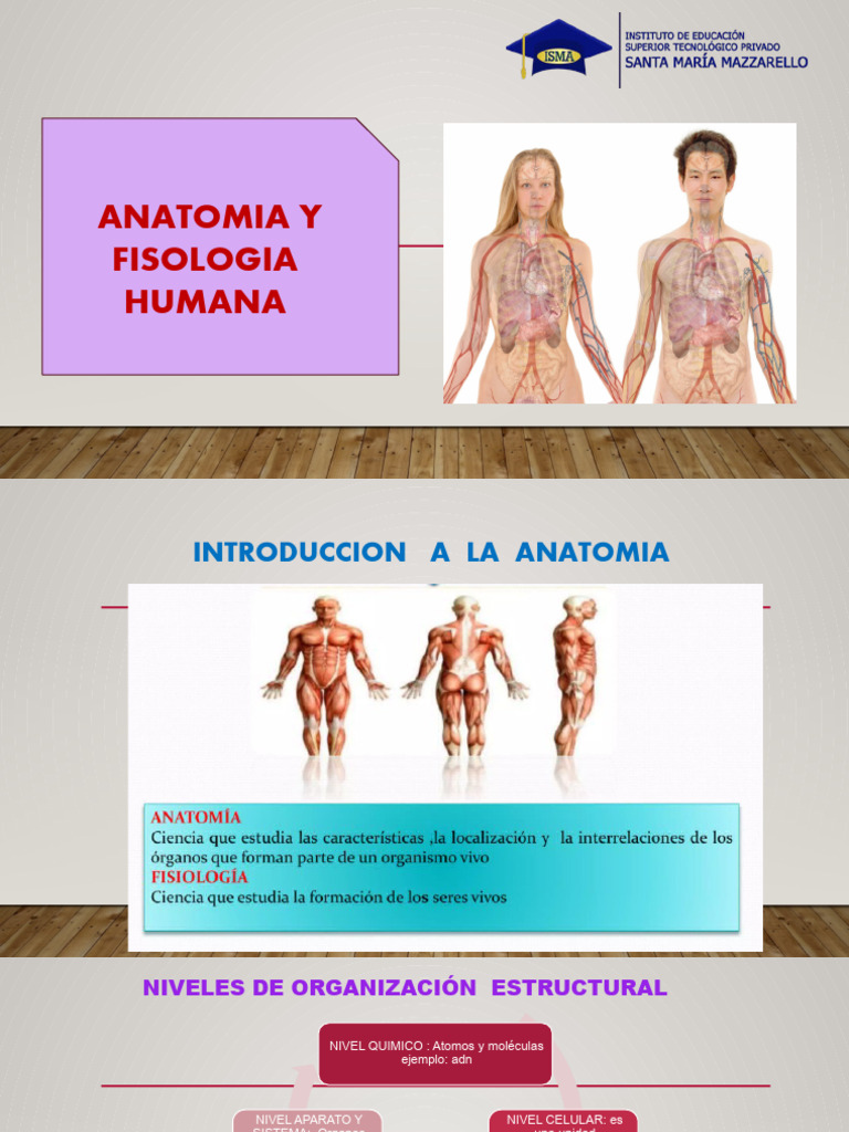 Anatomia Y Fisiologia Tema 01 Pdf