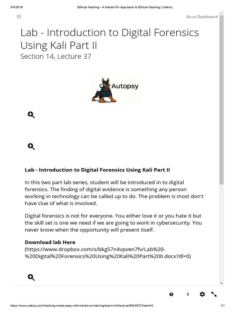 37-Lab - Introduction To Digital Forensics | PDF