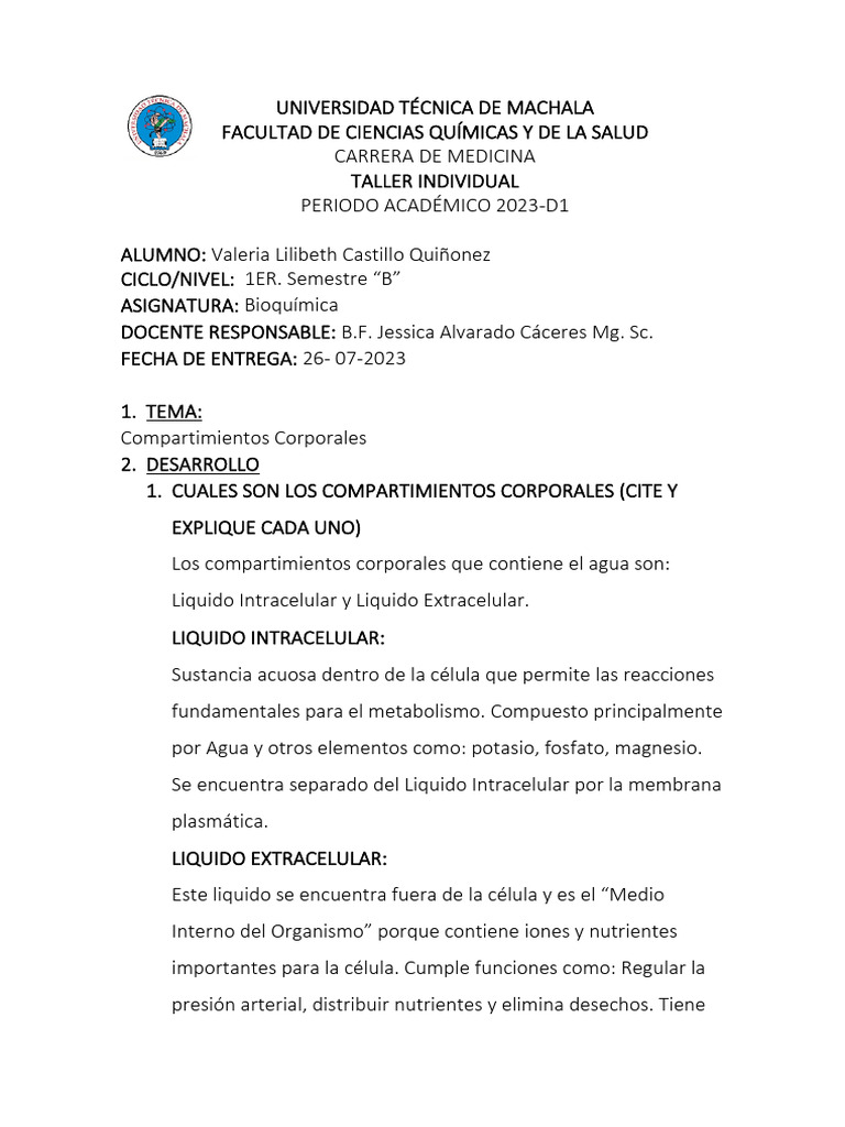 Compartimentos Corporales Pdf Sangre Nutrientes