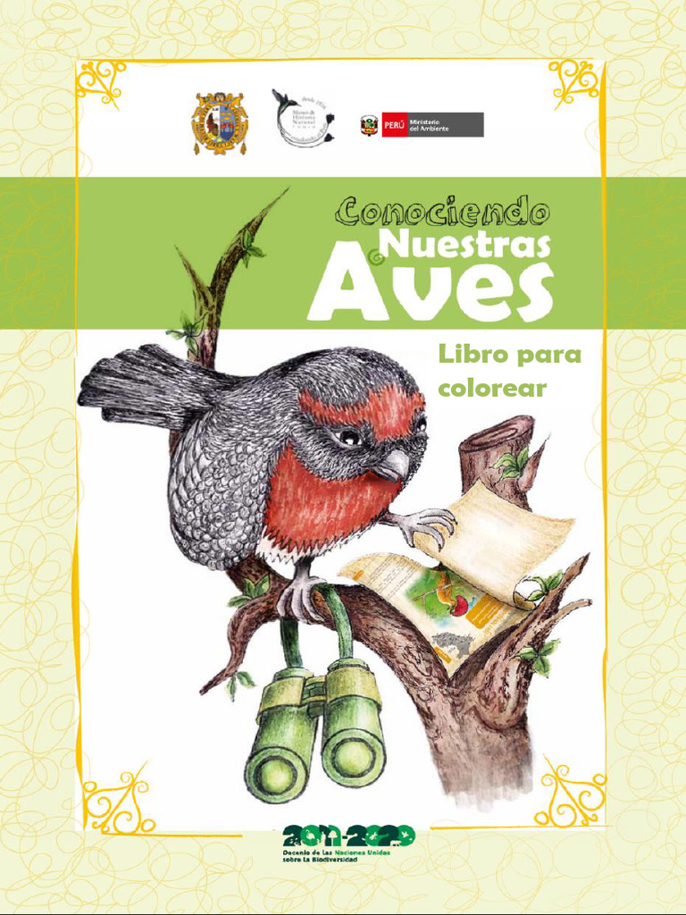 Aves del Perú para Colorear | PDF | Color | marrón