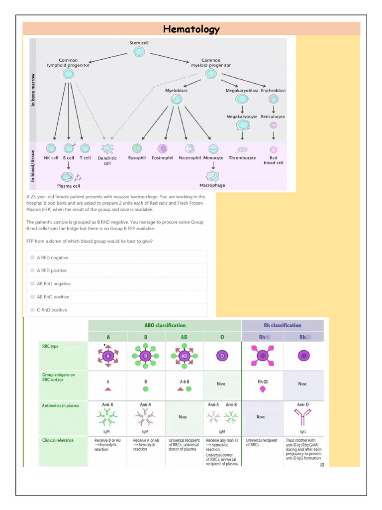 Hema Part 3 Final PDF | PDF | Anemia | White Blood Cell