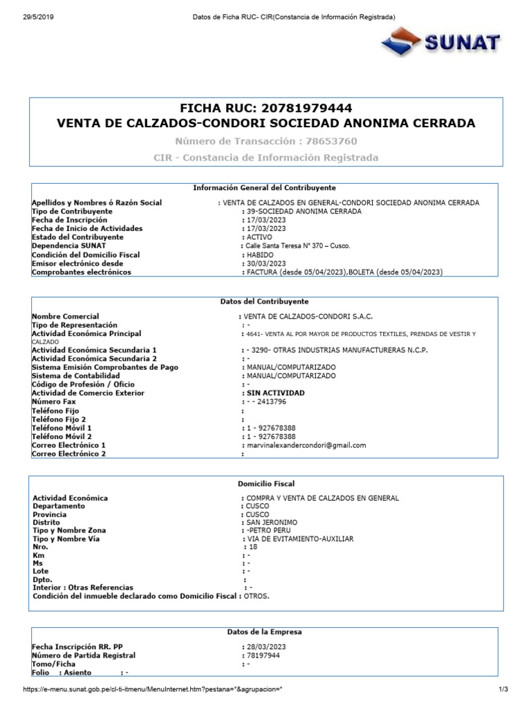 Ficha Ruc de Marvin-Modificado 1 | PDF | Business | Economias