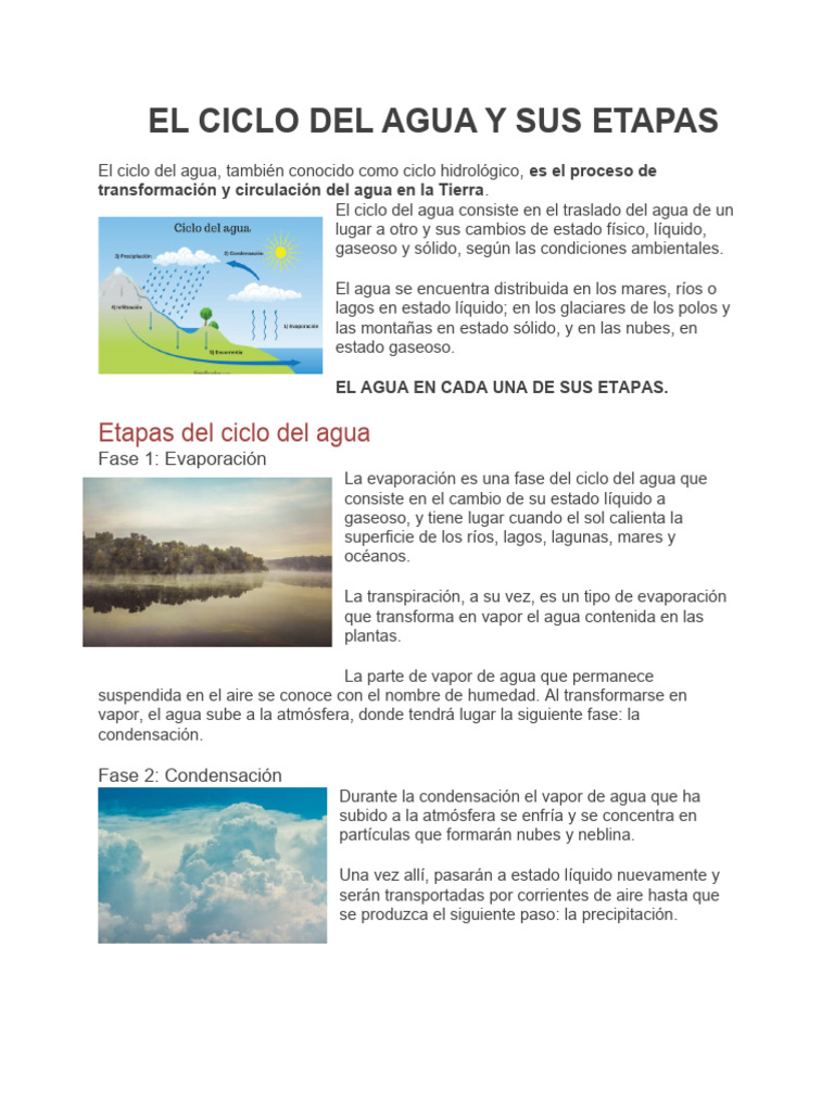 El Ciclo Del Agua y Sus Etapas | PDF | El ciclo del agua | Agua