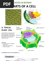 Cell Types PPT | PDF