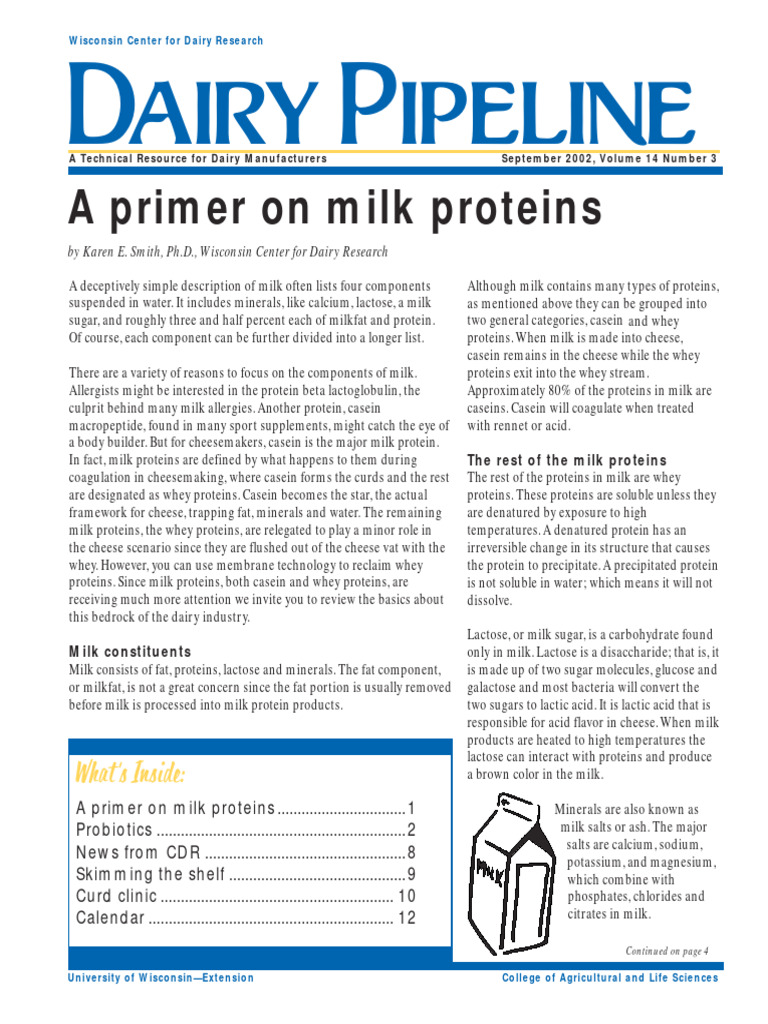 Primer Milk Protein | PDF | Milk | Probiotic