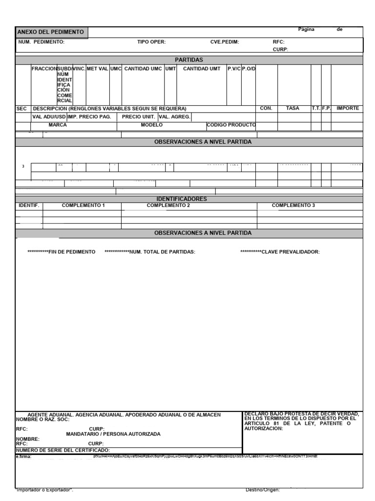 Pedimento Vacio Pag 3 | PDF