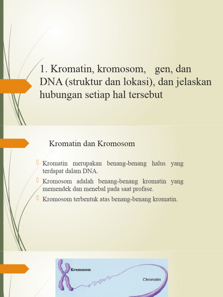 Gene Tika | PDF