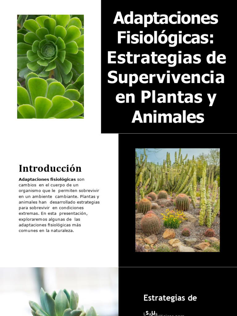 Adaptaciones Fisiológicas en Plantas y Animales, Arias Diego | PDF ...