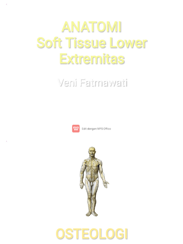 Soft Tissue Lower Extremity | PDF | Human Leg | Musculoskeletal System