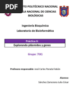 pGEM T and pGEM T Easy Vector Systems TM042 | PDF | Reacción en cadena ...