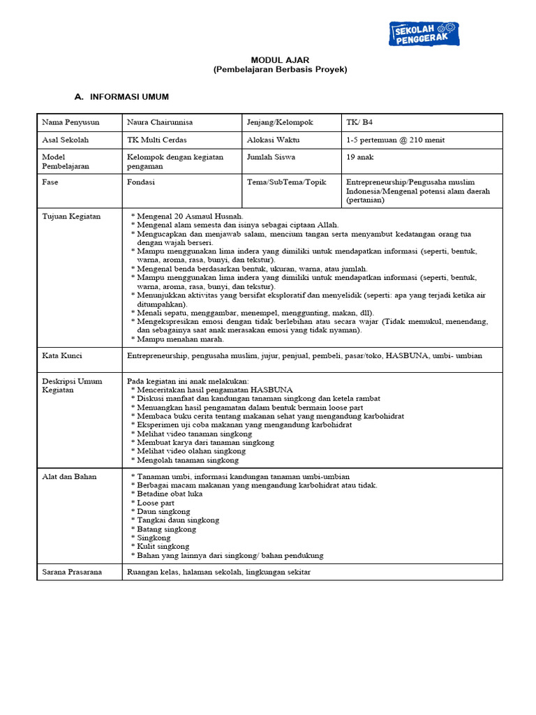 Contoh Modul Ajar - Berbasis Project - Reguler | PDF