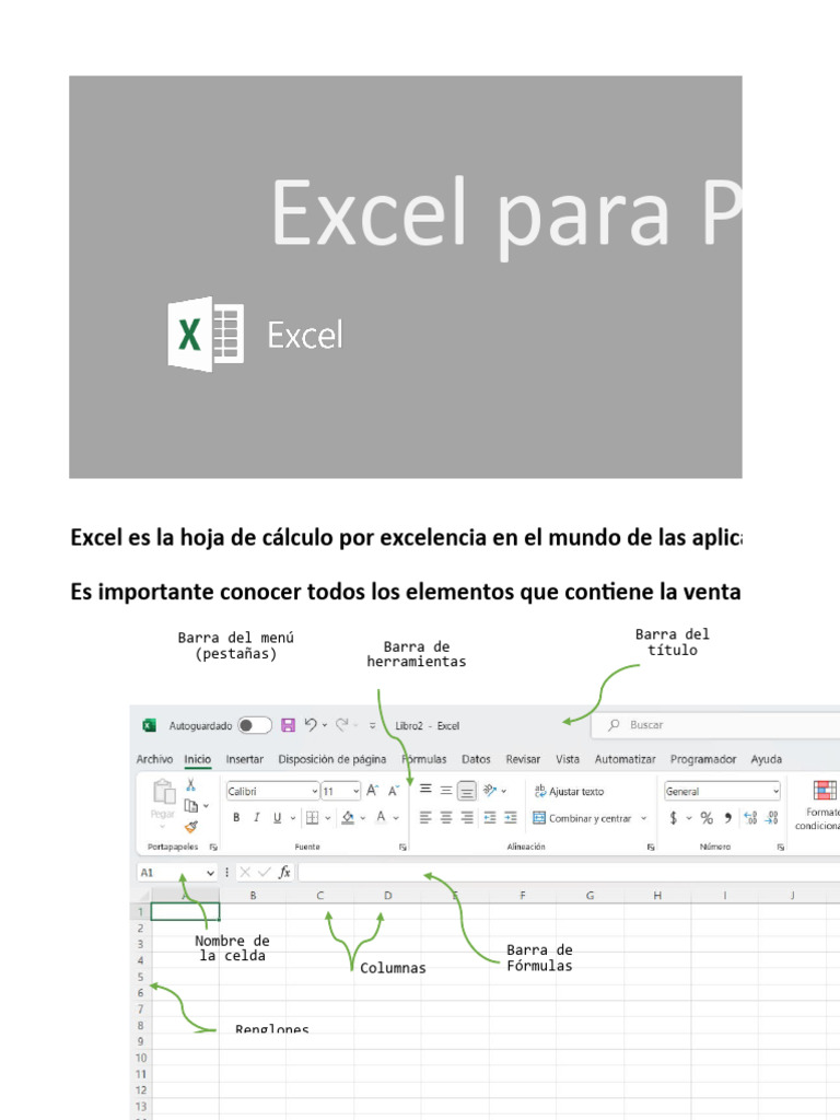 Guia Principiantes de Excel | PDF | Microsoft Excel | Multiplicación