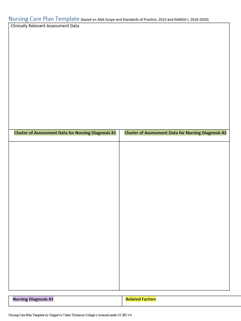 Nursing Care Plan Template | PDF | Nursing | Medical Diagnosis