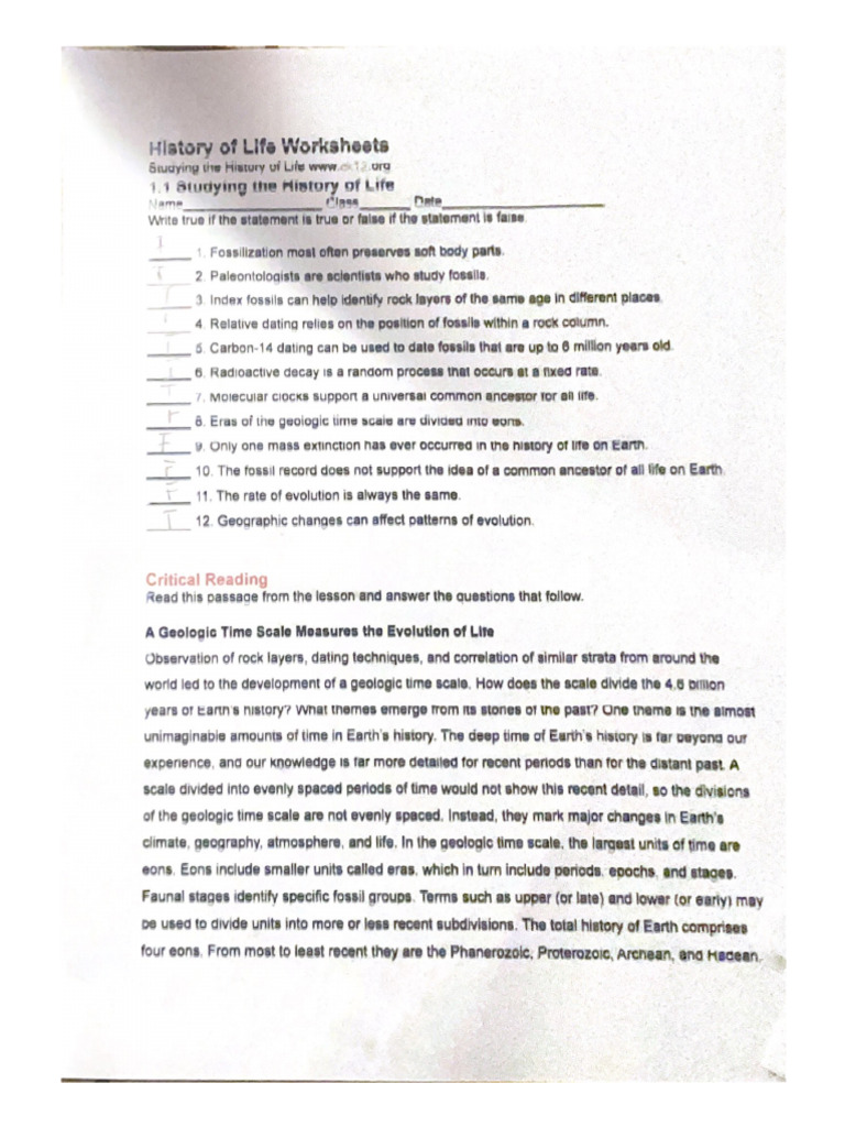 Scanned Documents | PDF