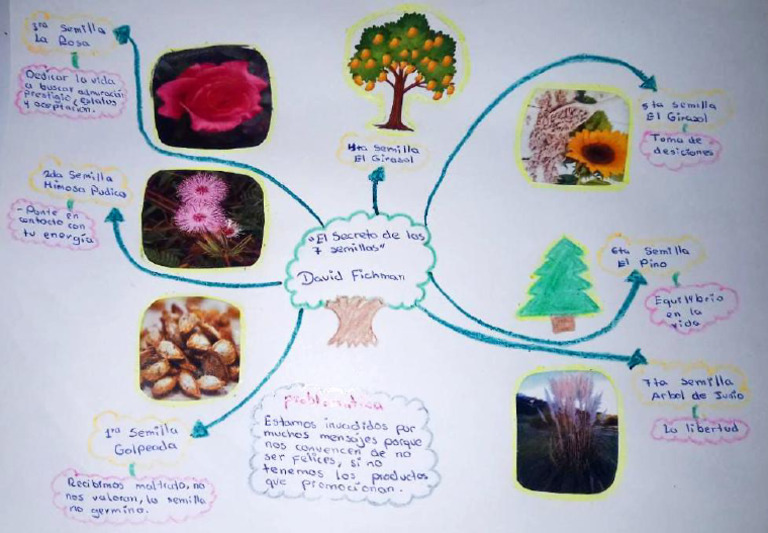 El Secreto de Las 7 Semillas | PDF