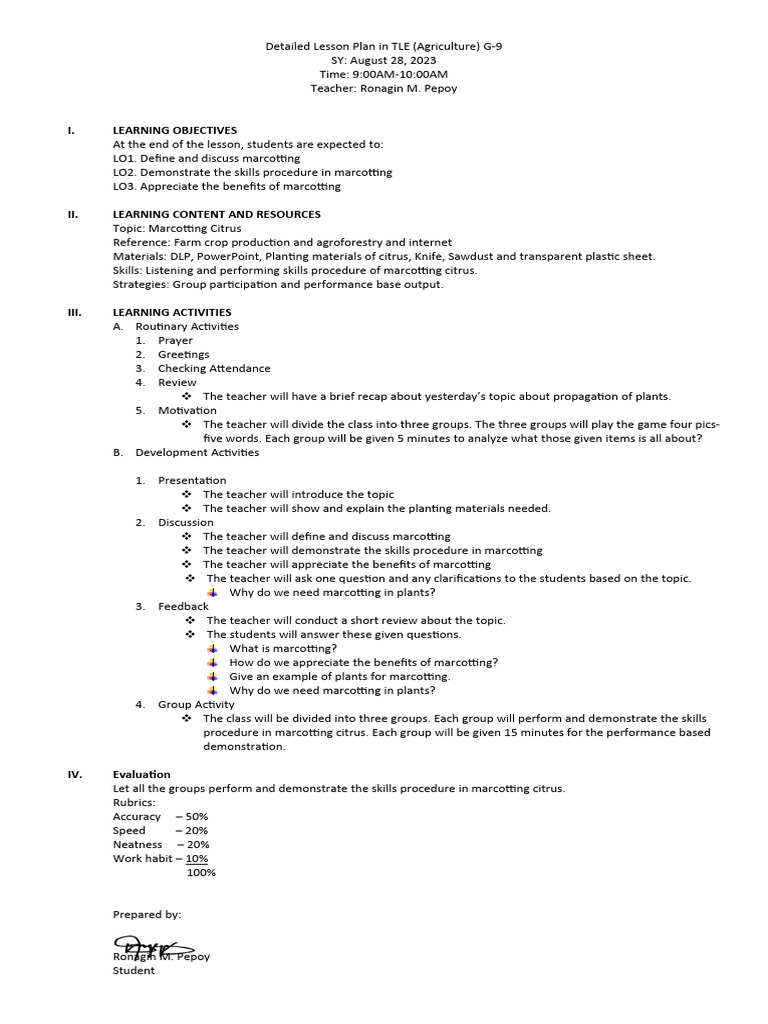 Lesson Plan | PDF | Cognitive Science | Behavior Modification