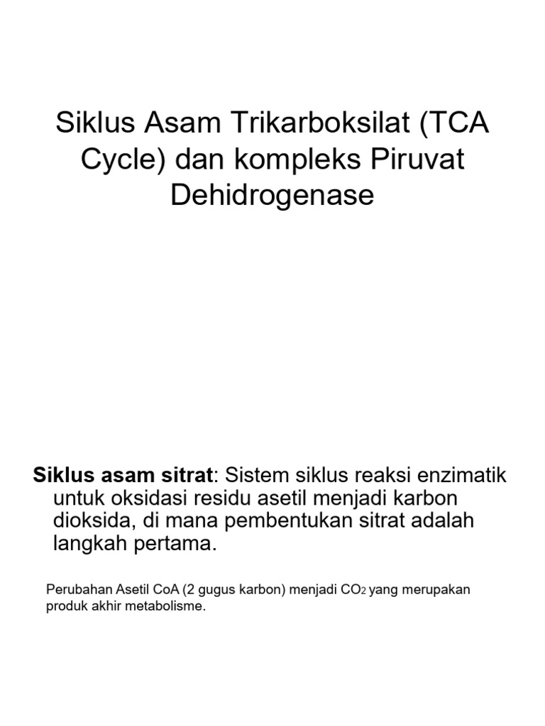 Siklus TCA | PDF