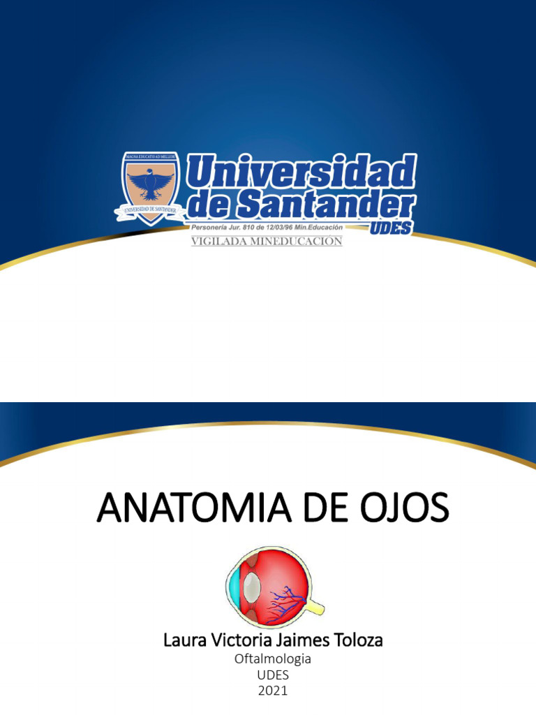Anatomía del Ojo Humano Externo e Interno | PDF | Ojo humano | Córnea