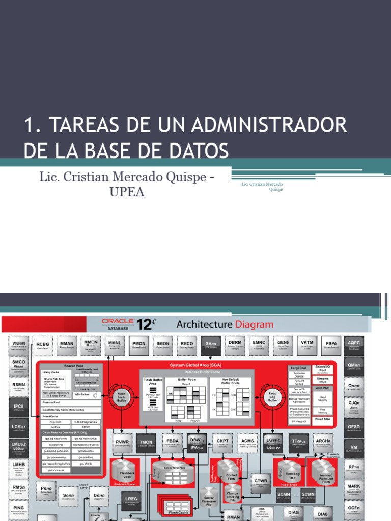 Dba1 1 | PDF | Bases de datos | Usuario (informática)