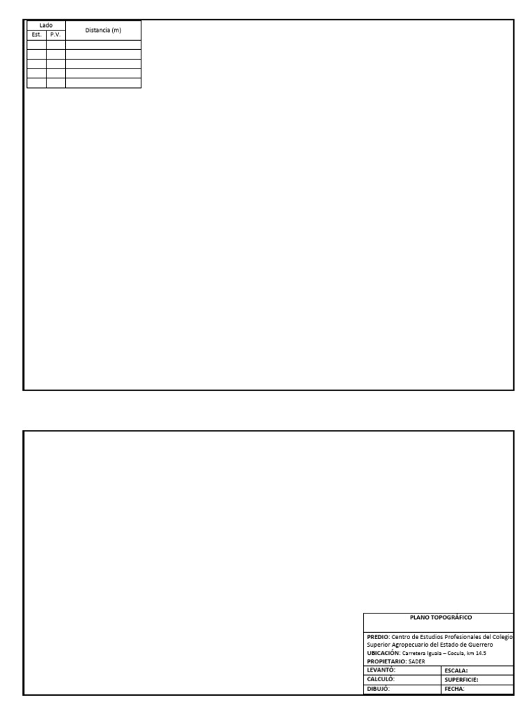 FORMATO PLANO Version Imprimible | PDF