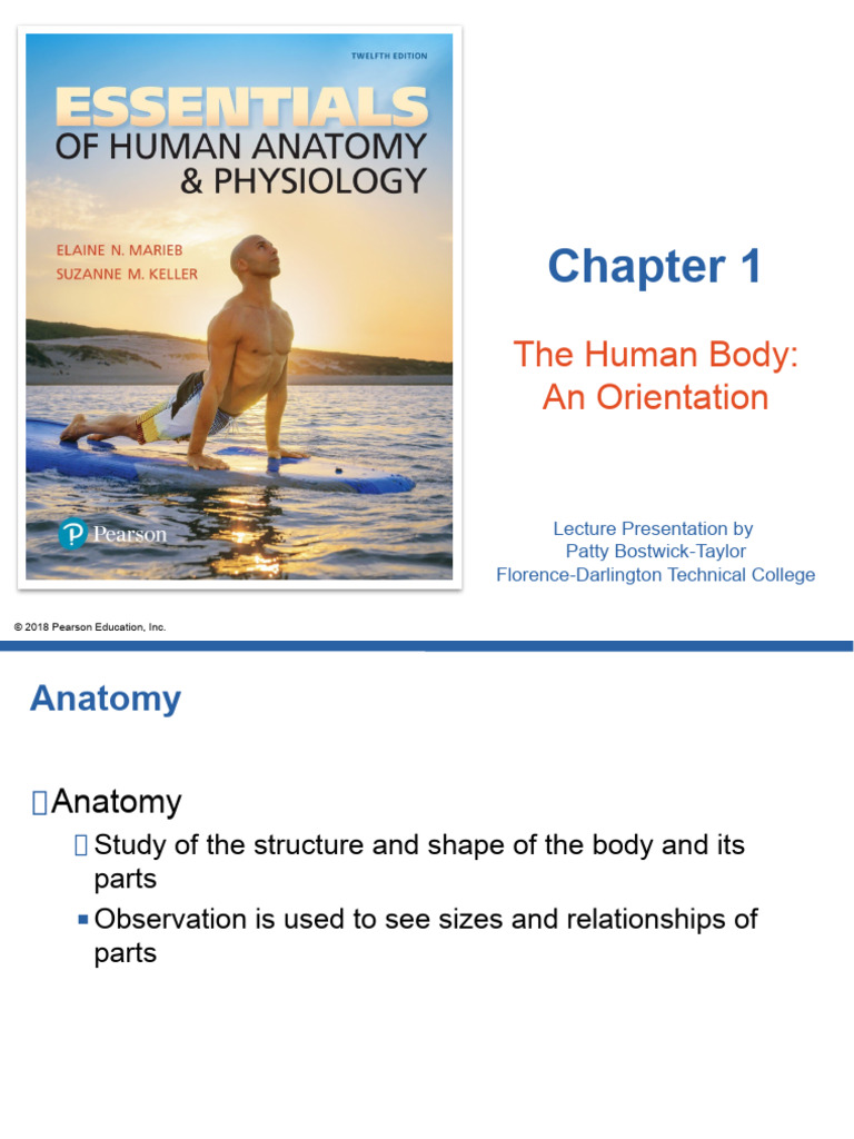 CH 01 Lecture Presentation | PDF | Anatomical Terms Of Location | Human Body