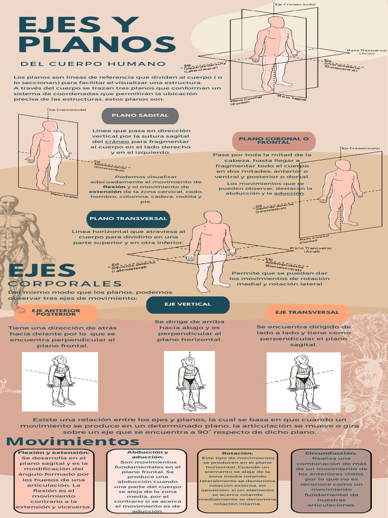 Planos y Ejes | PDF | Rotación