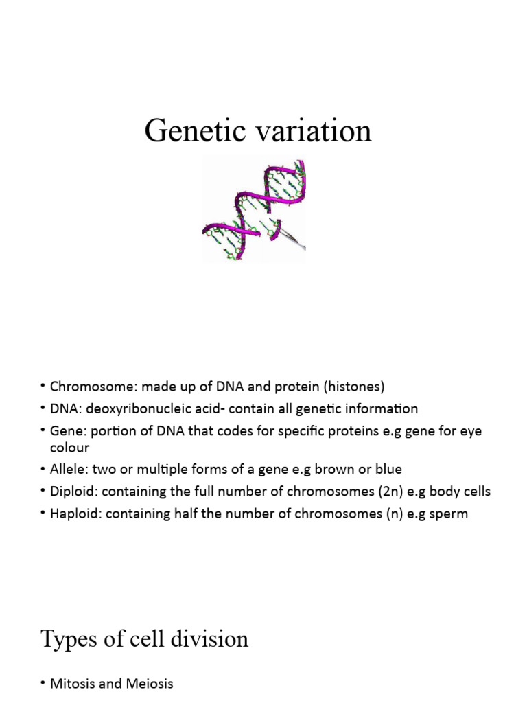 Genetics | PDF | Dominance (Genetics) | Zygosity