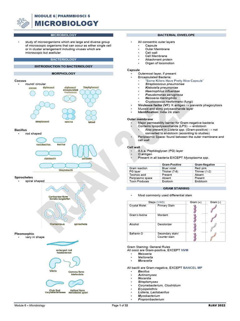 6.1 Microbiology | PDF | Streptococcus | Bacteria