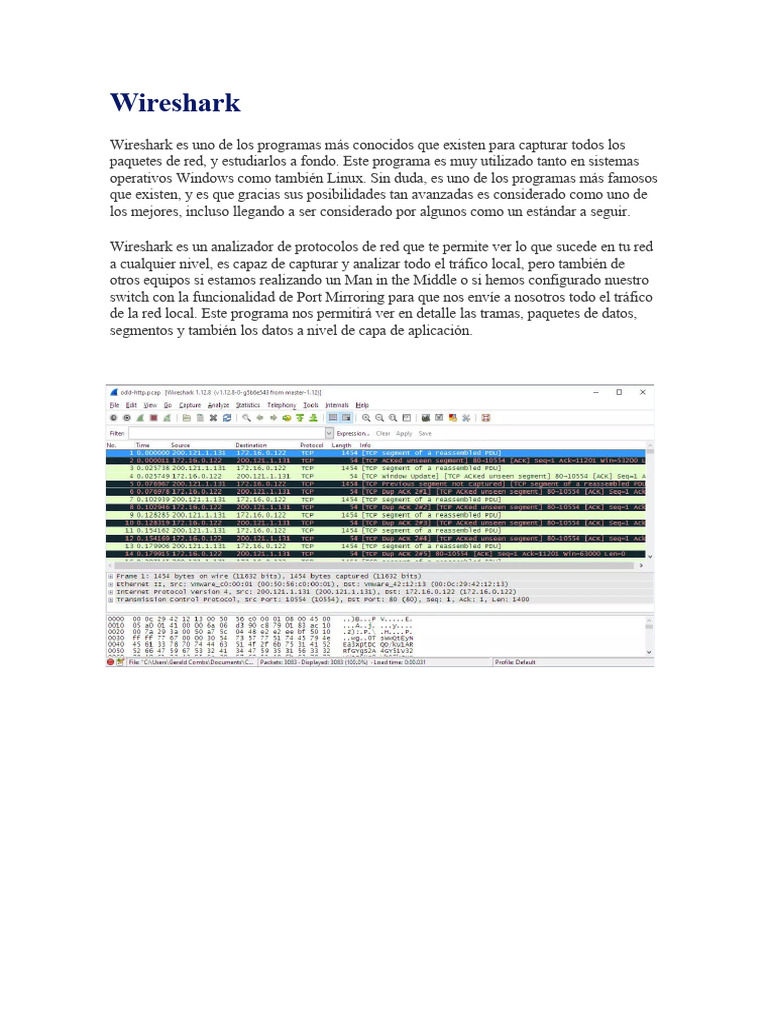 Wireshark | PDF