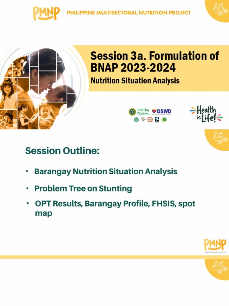 Session 3a. Formulation of BNAP 2023-2025 | PDF | Malnutrition | Health ...