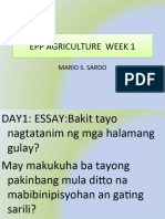 KALENDARYO NG Pagtatanim | PDF