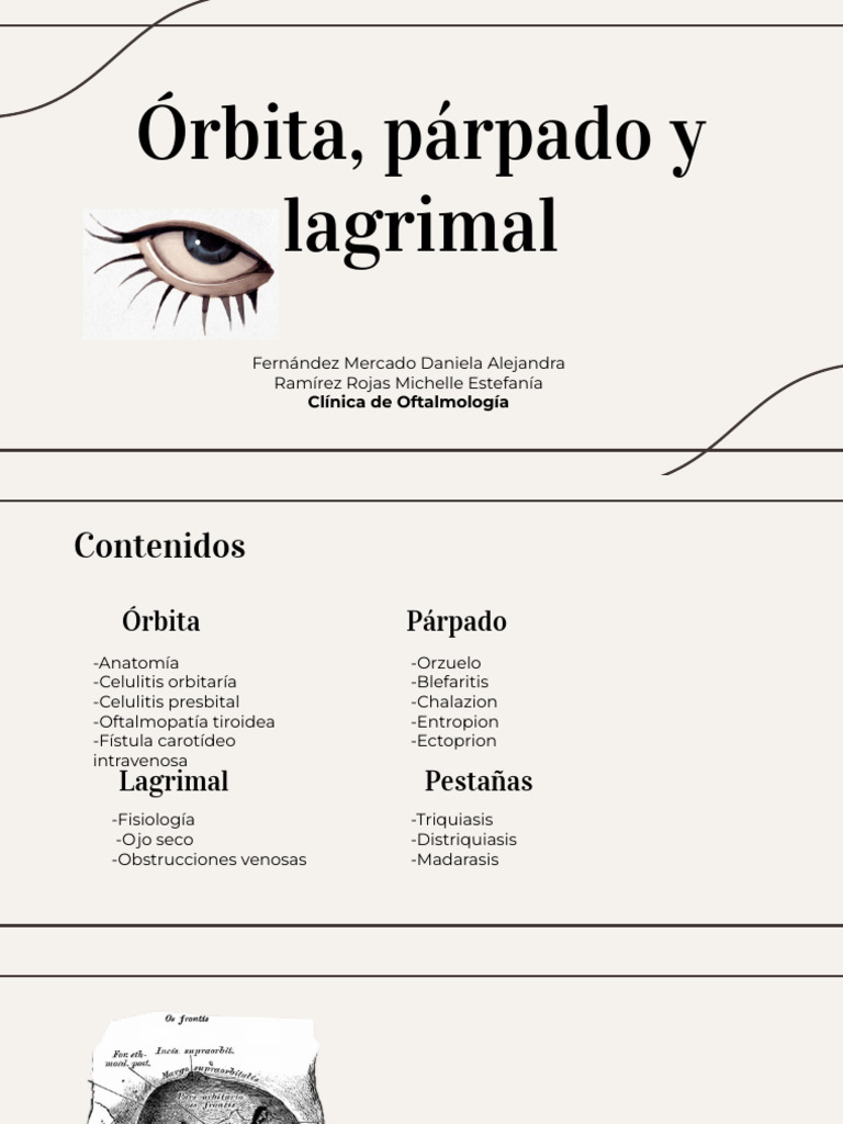 Órbita, Párpado y Lagrimal | PDF | Ojo humano | Enfermedades y trastornos