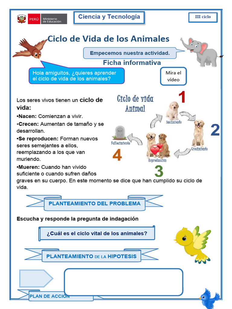 Ficha Ciclo de Vida de Los Animales | PDF