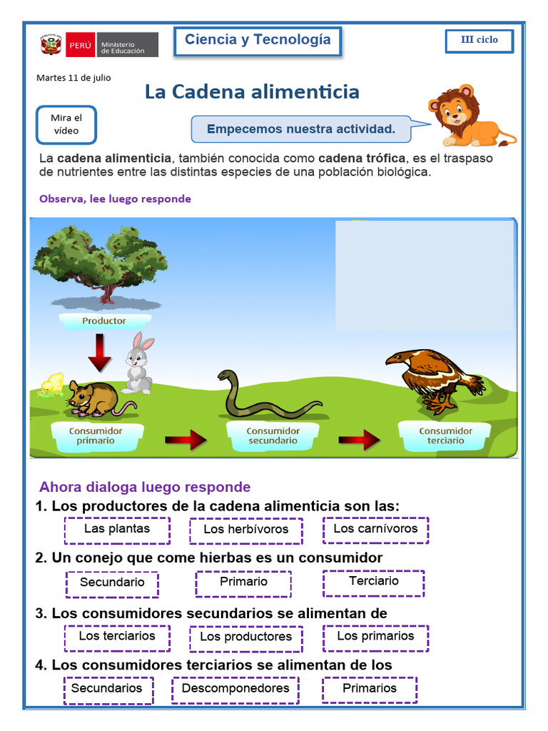 Ficha Conocemos la cadena alimenticia | PDF