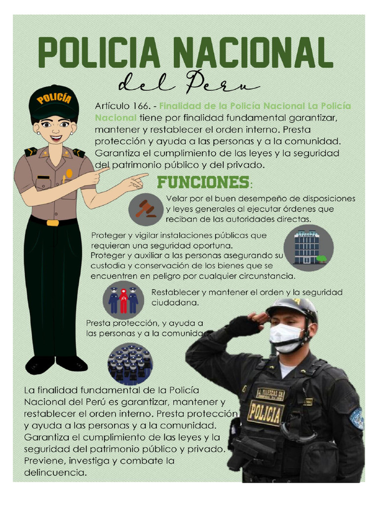 Infografia de PNP | PDF