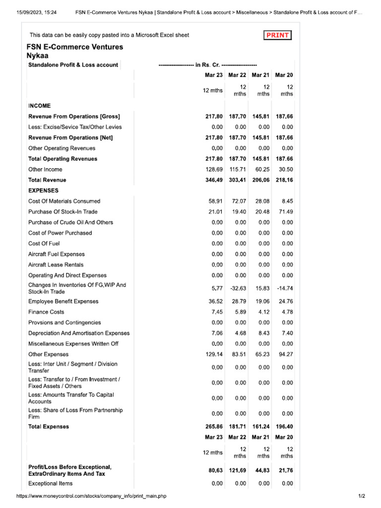 Profit & Loss of Nykaa | PDF