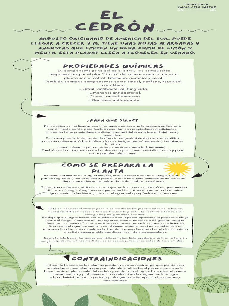 El Cedrón | PDF | Té