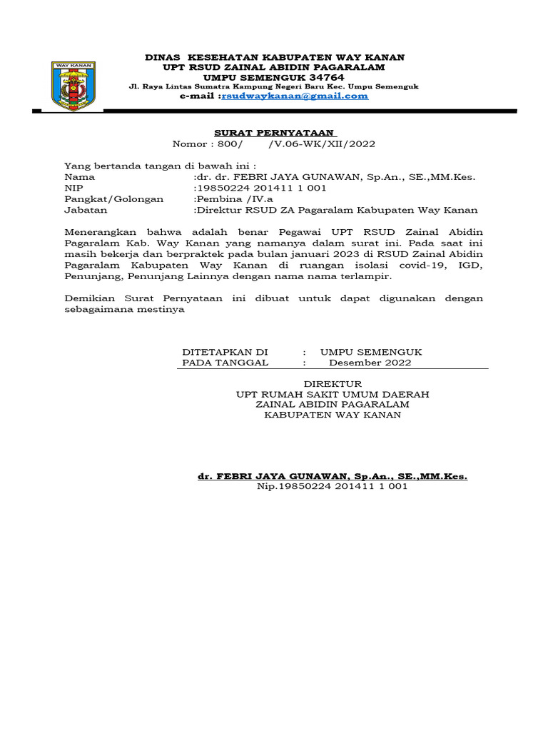 Tenaga Medis RSUD Way Kanan 2023 | PDF
