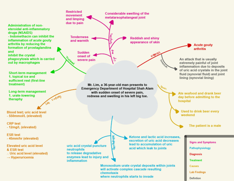 Gouty Arthritis Concept Map | PDF | Causes Of Death | Diseases And ...