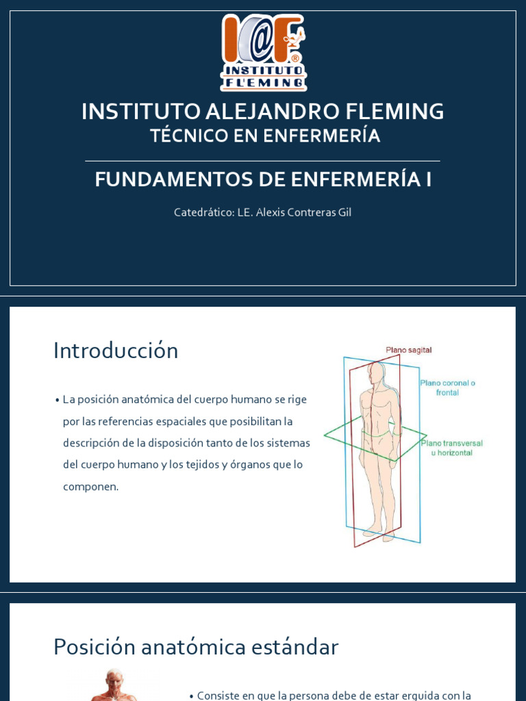 Posiciones Anatomicas | PDF | Anatomía | Anatomía humana