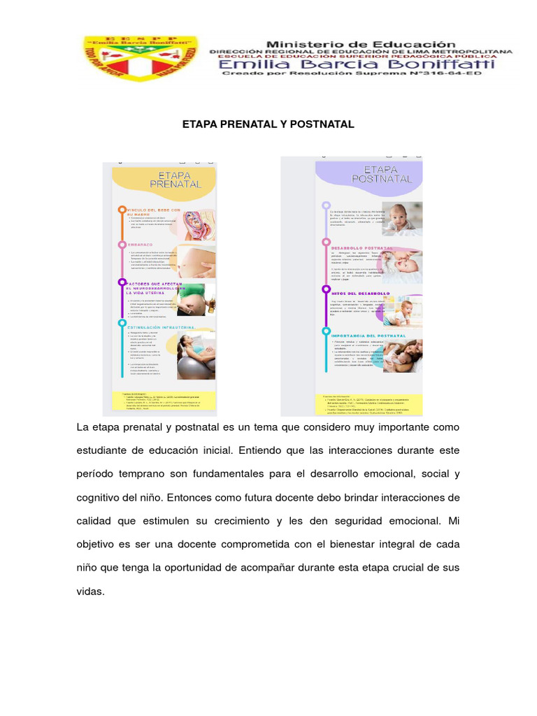 Etapa Prenatal y Postnatal | PDF | Salud y bienestar | Relaciones ...