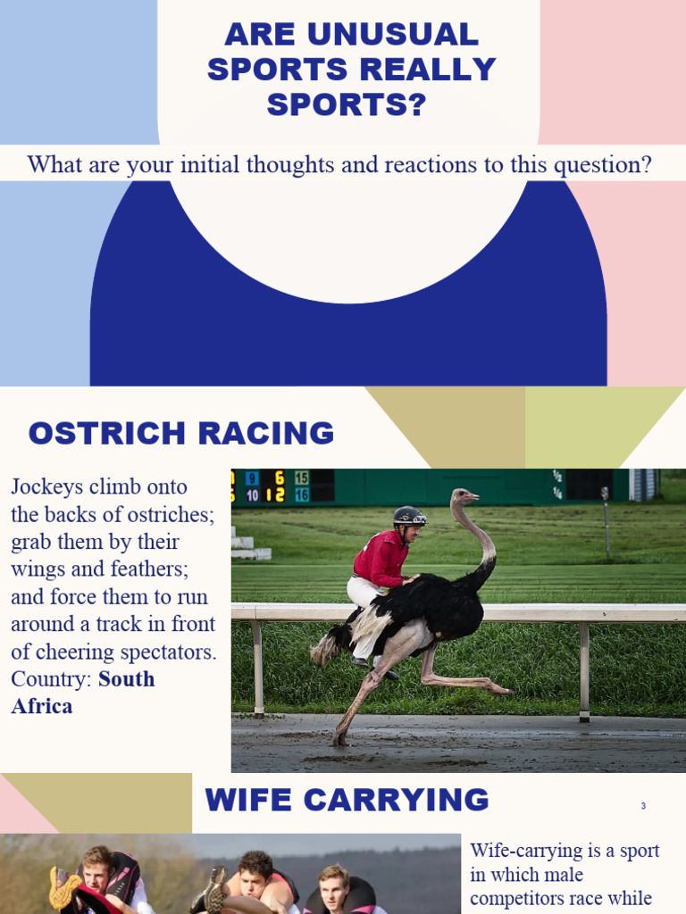 Are Unusual Sports Really Sports | PDF | Sports & Recreation