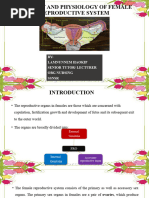 Male Reproductive System Pdf Testicle Prostate