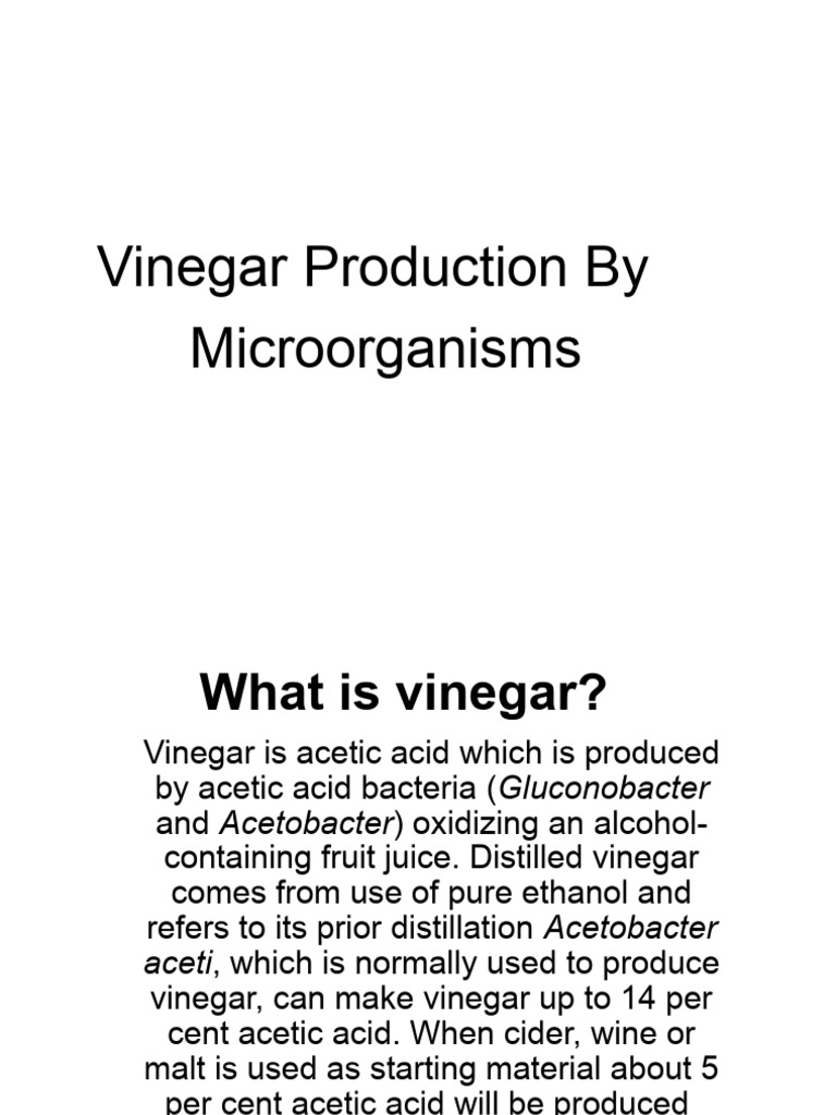 Vinegar Production | PDF | Acetic Acid | Vinegar